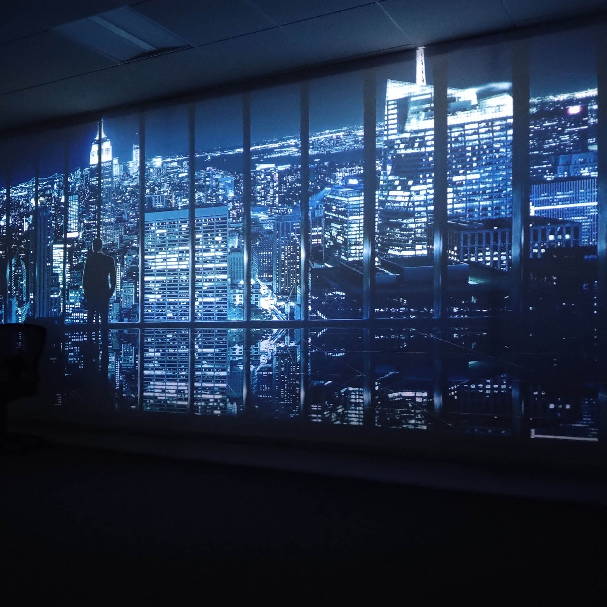 250 Inch White Matte Projector Screen Fabric 16:9 Aspect Ratio - B1 FR